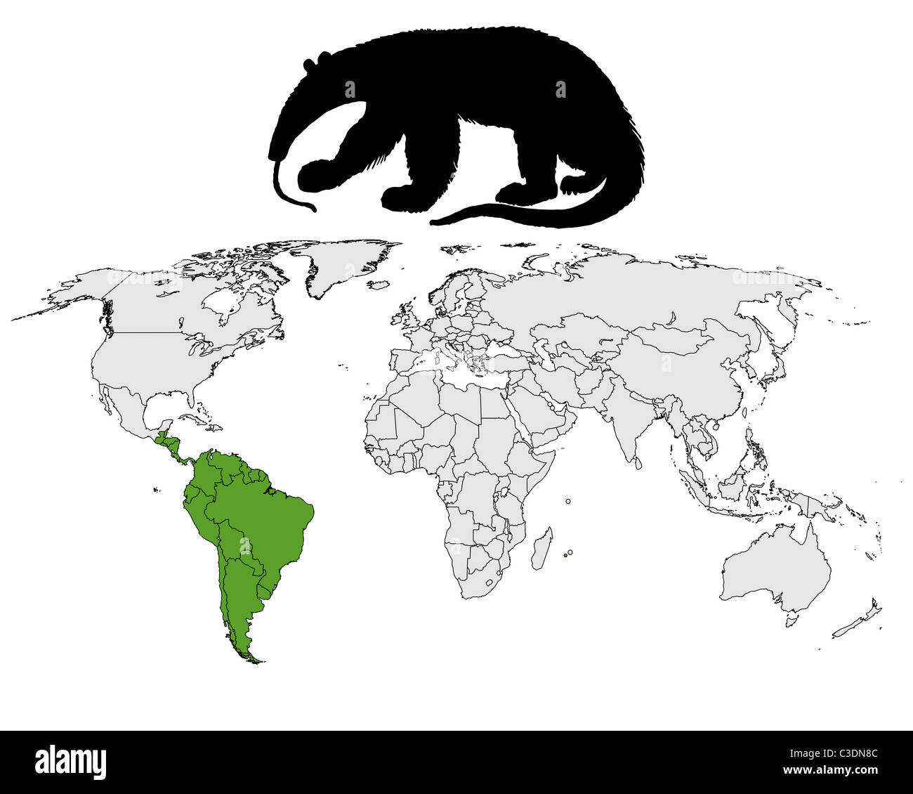 Giant anteater illustration Cut Out Stock Images & Pictures - Alamy