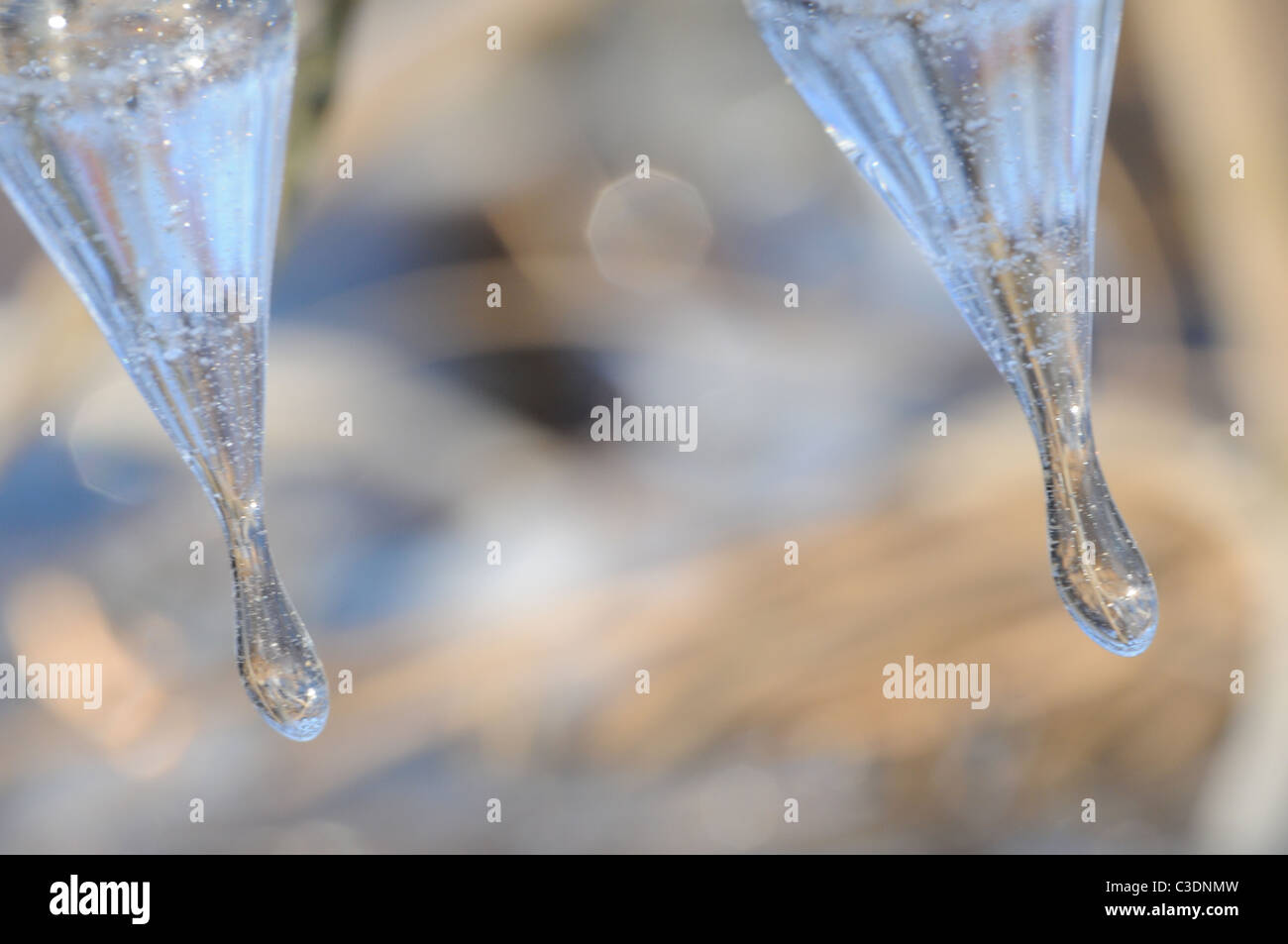 icicles, nature's own building of ice, small details in the ice, macro ...