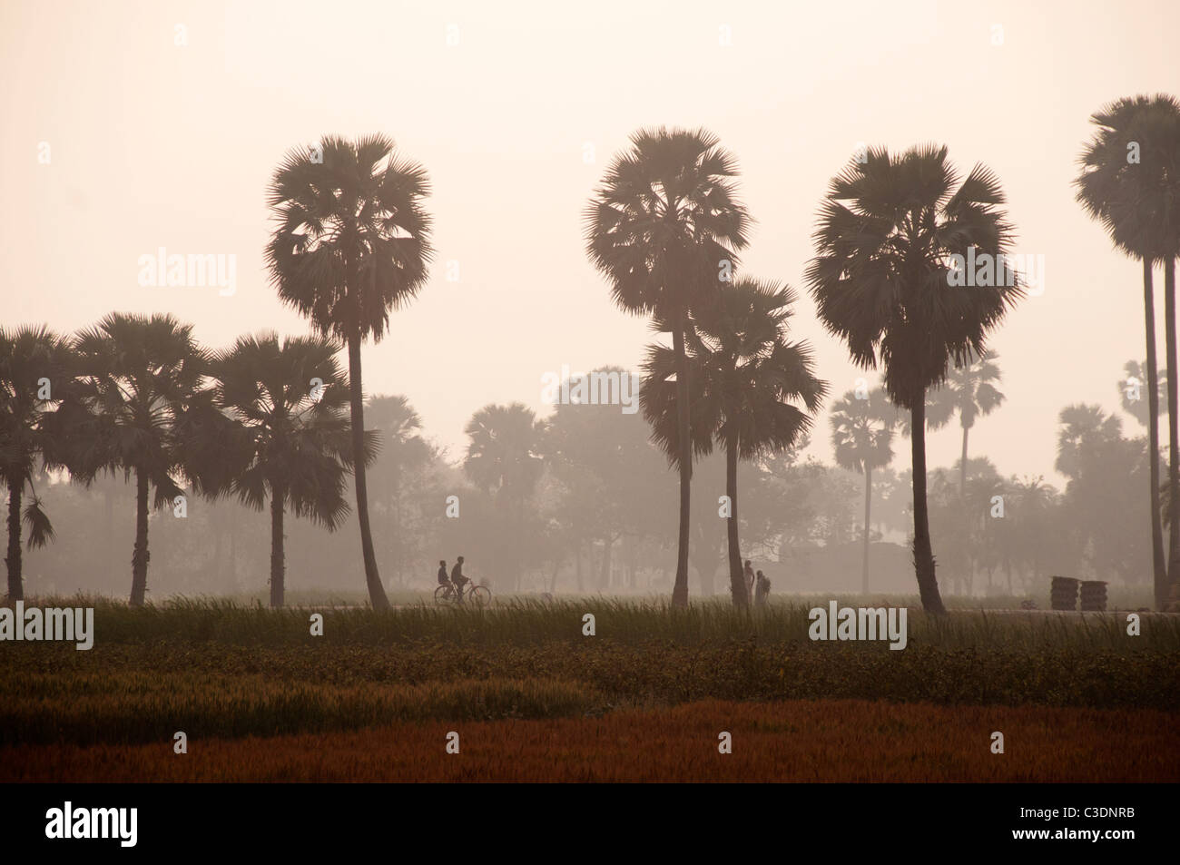 Bihar hi-res stock photography and images - Alamy