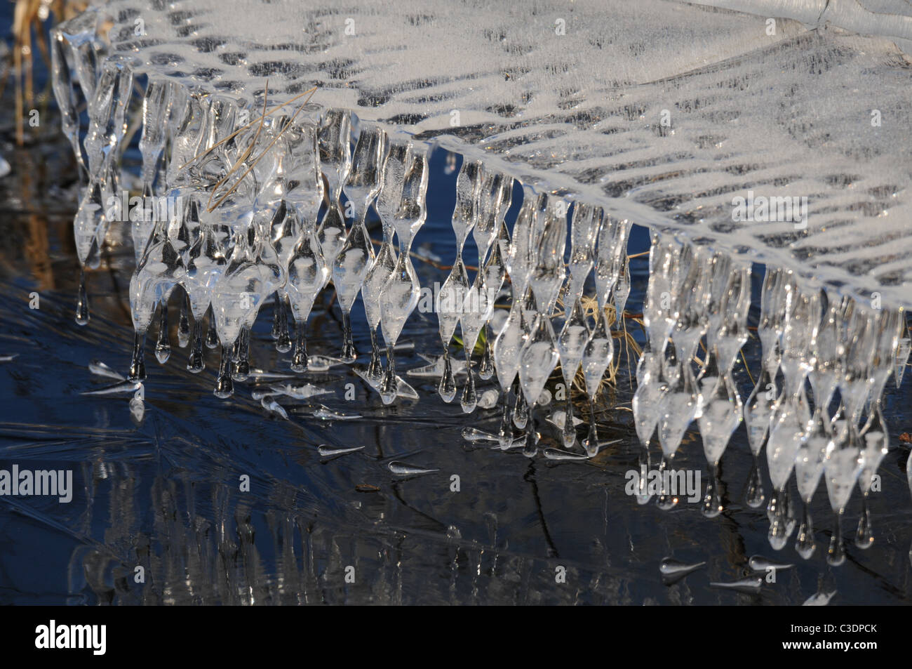 water in solid form, ice formations, old wire fence, winter, cold ...