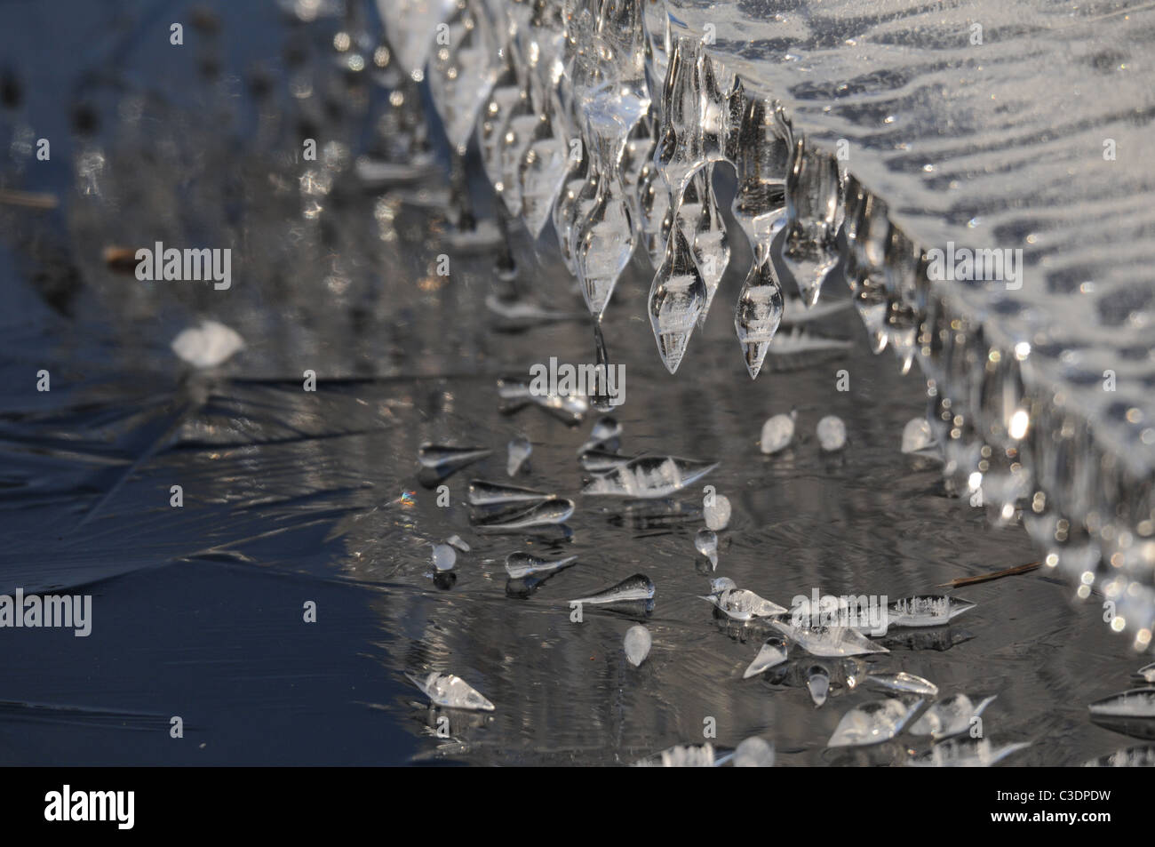 water in solid form, ice formations, old wire fence, winter, cold ...