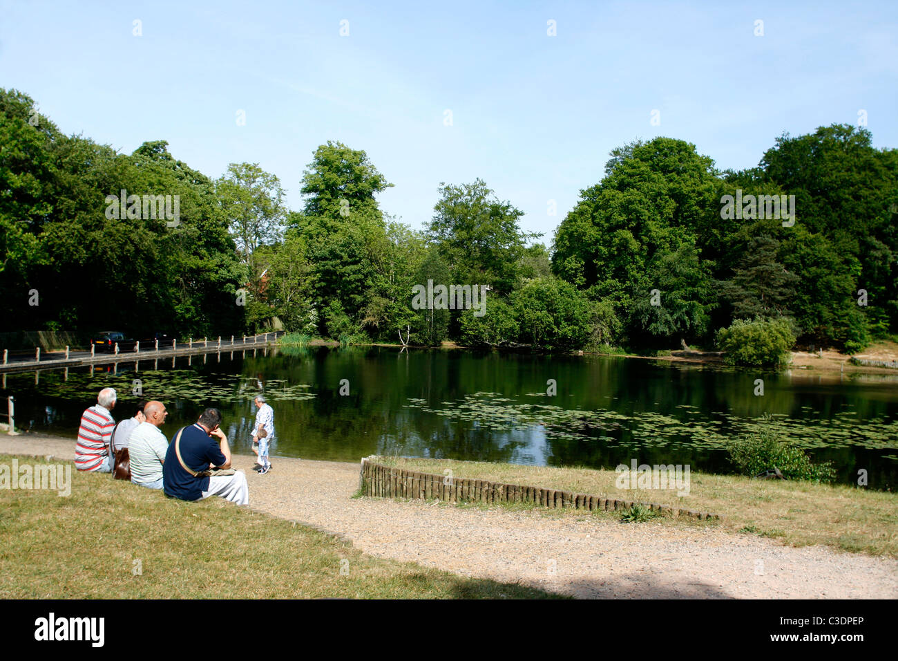 four seated men viewing keston lake in kent uk 2011 Stock Photo - Alamy