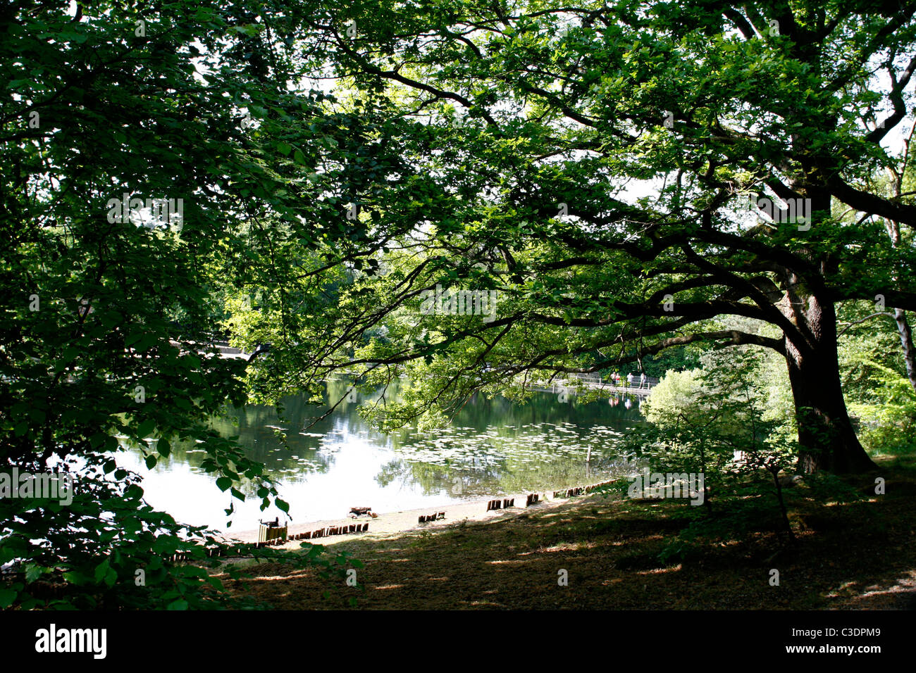 keston pond lake kent borough of bromley Stock Photo - Alamy