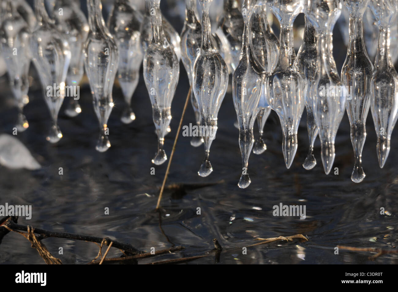 water in solid form, ice formations, old wire fence, winter, cold ...