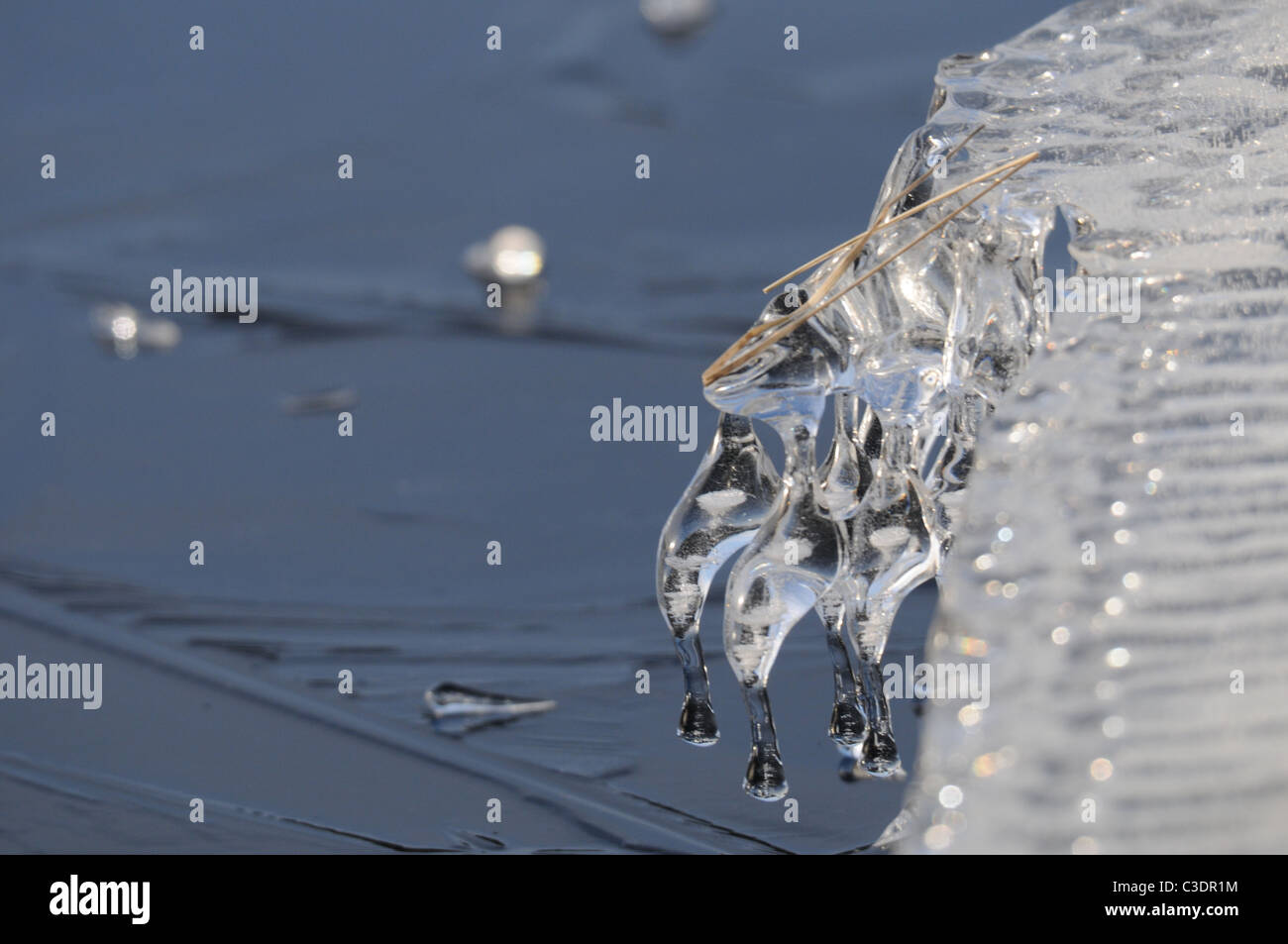 water in solid form, ice formations, old wire fence, winter, cold ...