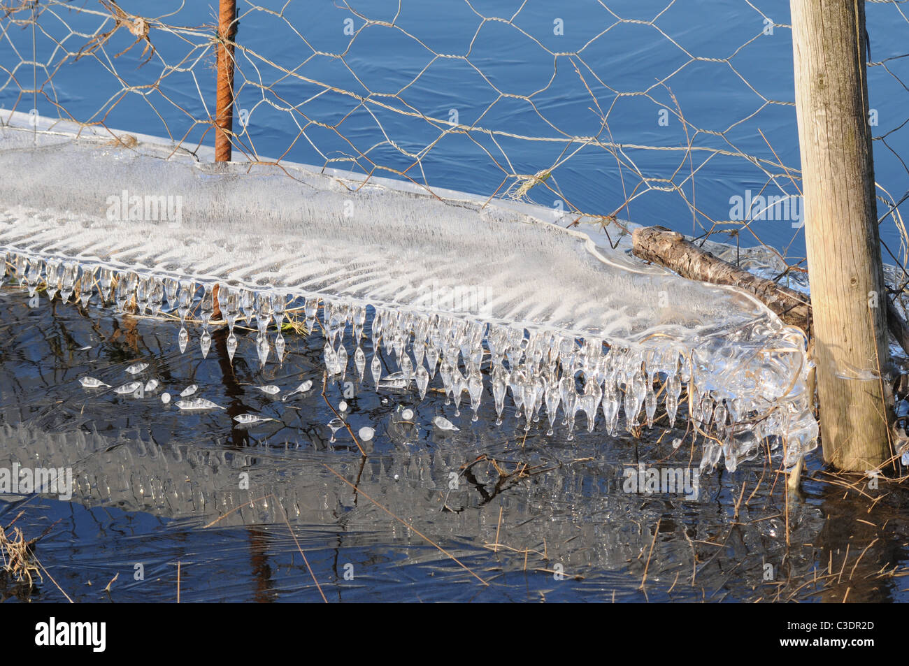 Icicles, old wire mesh fence, H2O in solid form Stock Photo - Alamy
