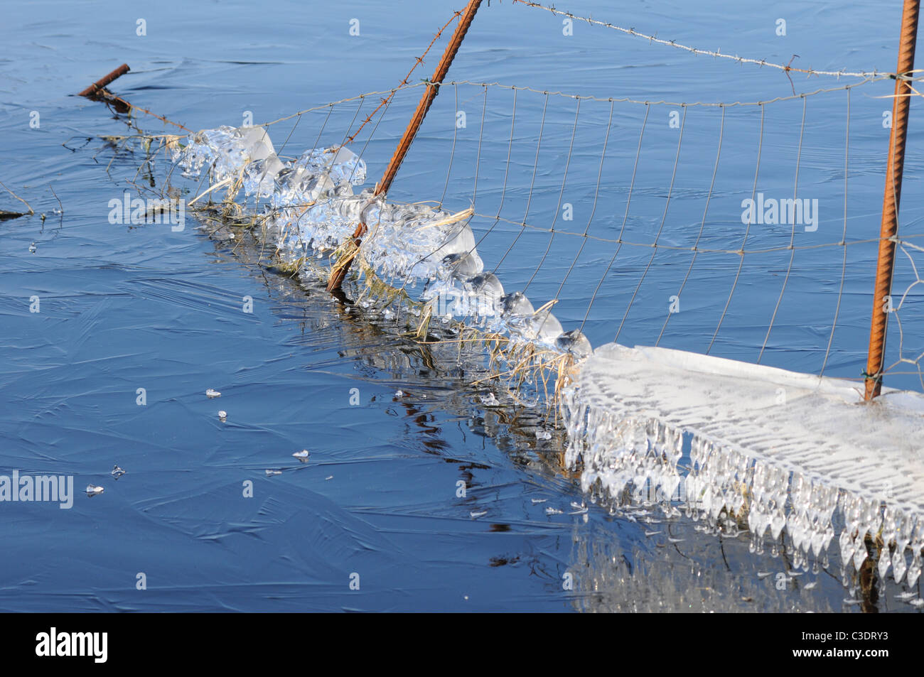 water in solid form, ice formations, old wire fence, winter, cold ...