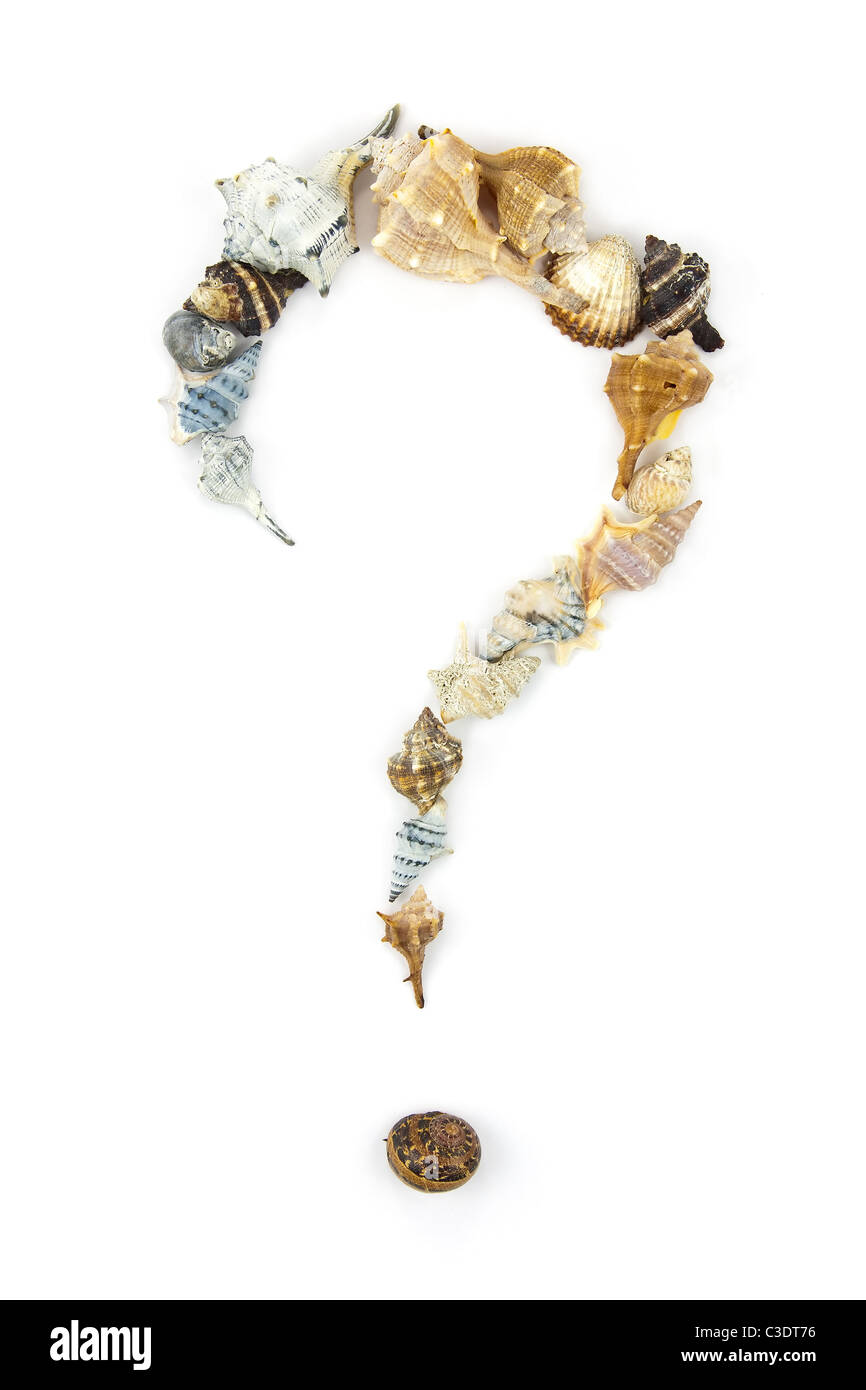 Question Mark made of Several Shells. Summer Theme Stock Photo - Alamy