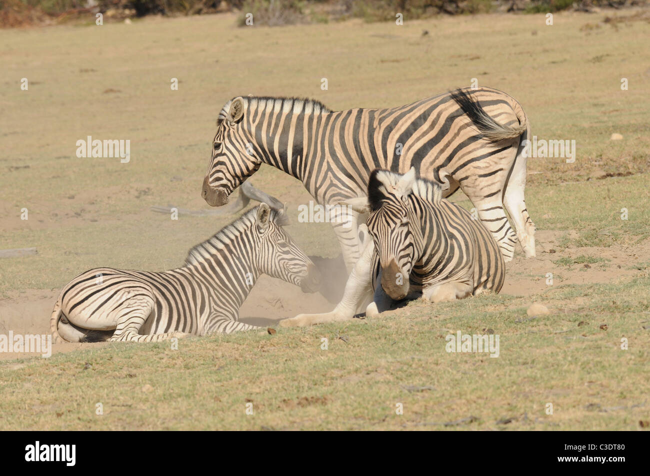 Rolling around hi-res stock photography and images - Alamy