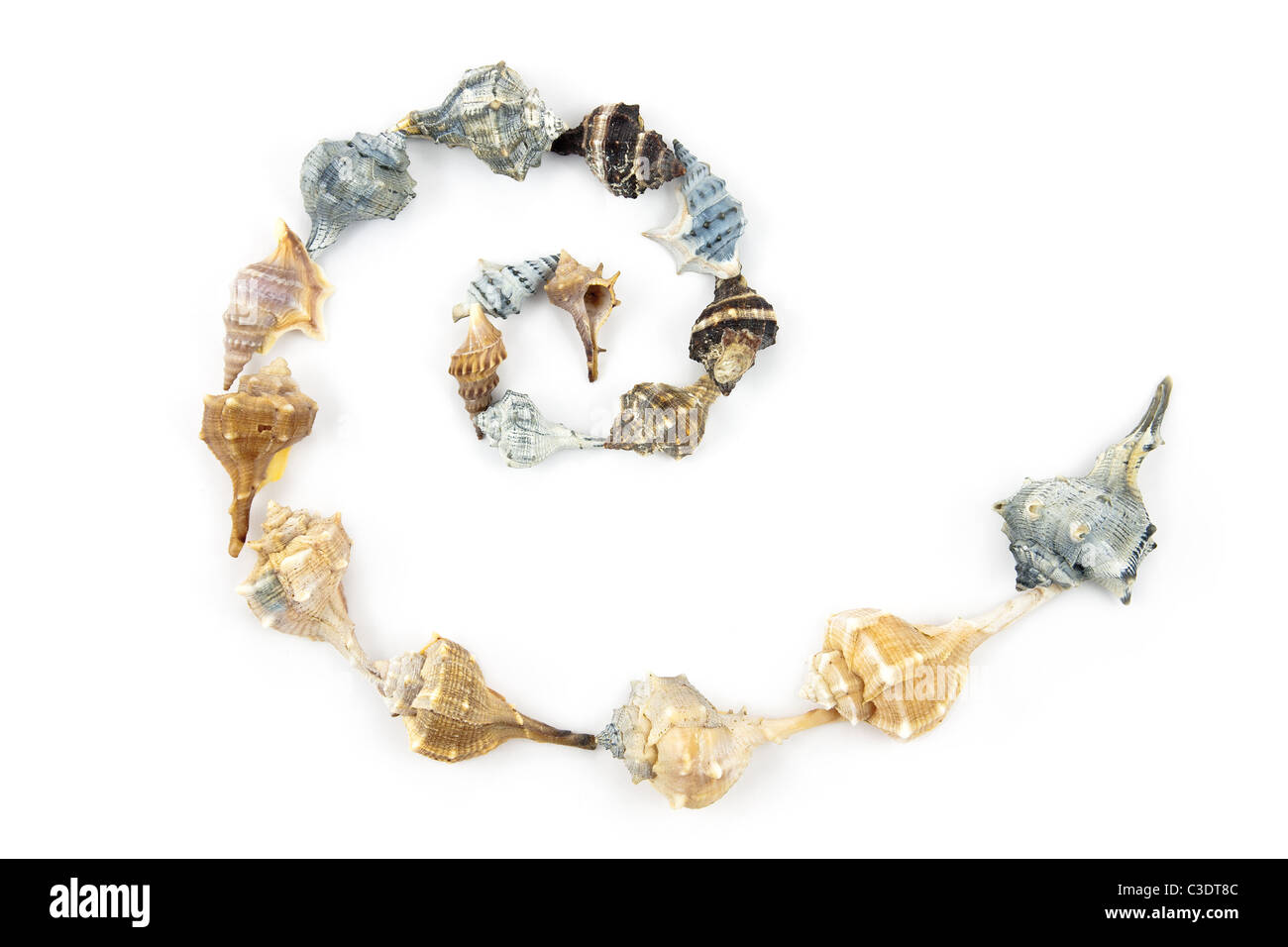 Pastel coloured spiral Cut Out Stock Images & Pictures - Alamy