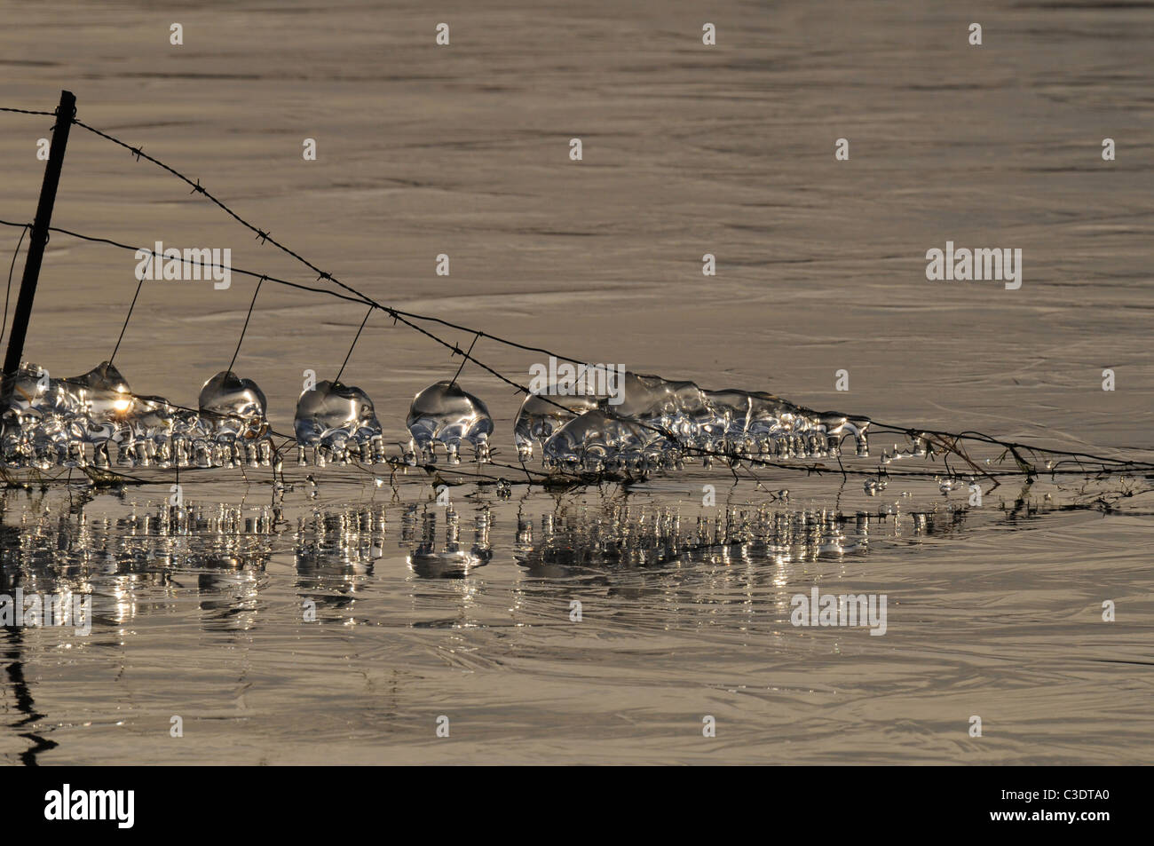 Icicles, old wire mesh fence, H2O in solid form Stock Photo - Alamy