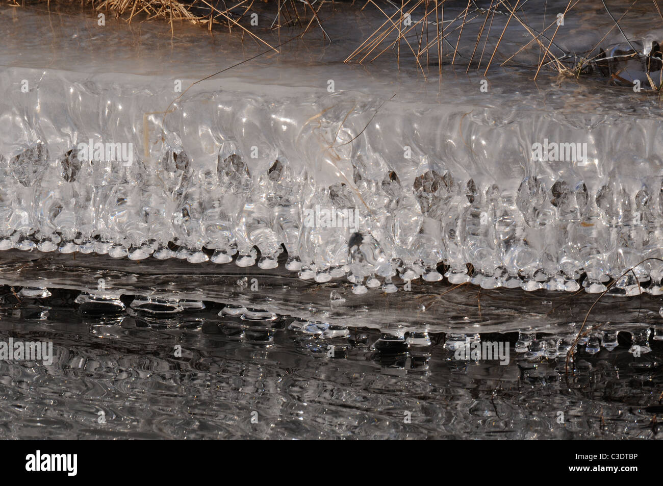 Icicles, old wire mesh fence, H2O in solid form Stock Photo - Alamy