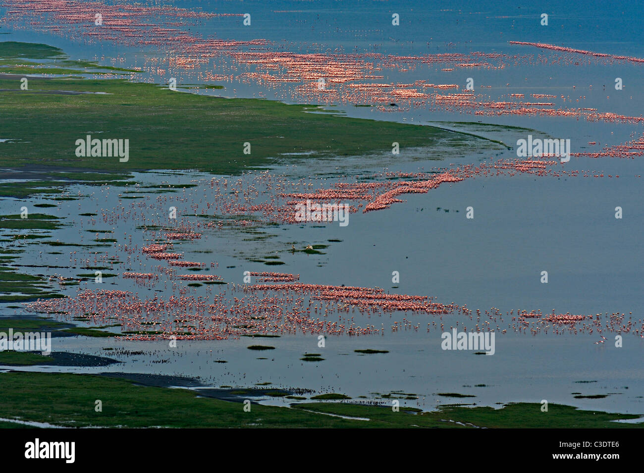 Nakuru lake aerial hi-res stock photography and images - Alamy