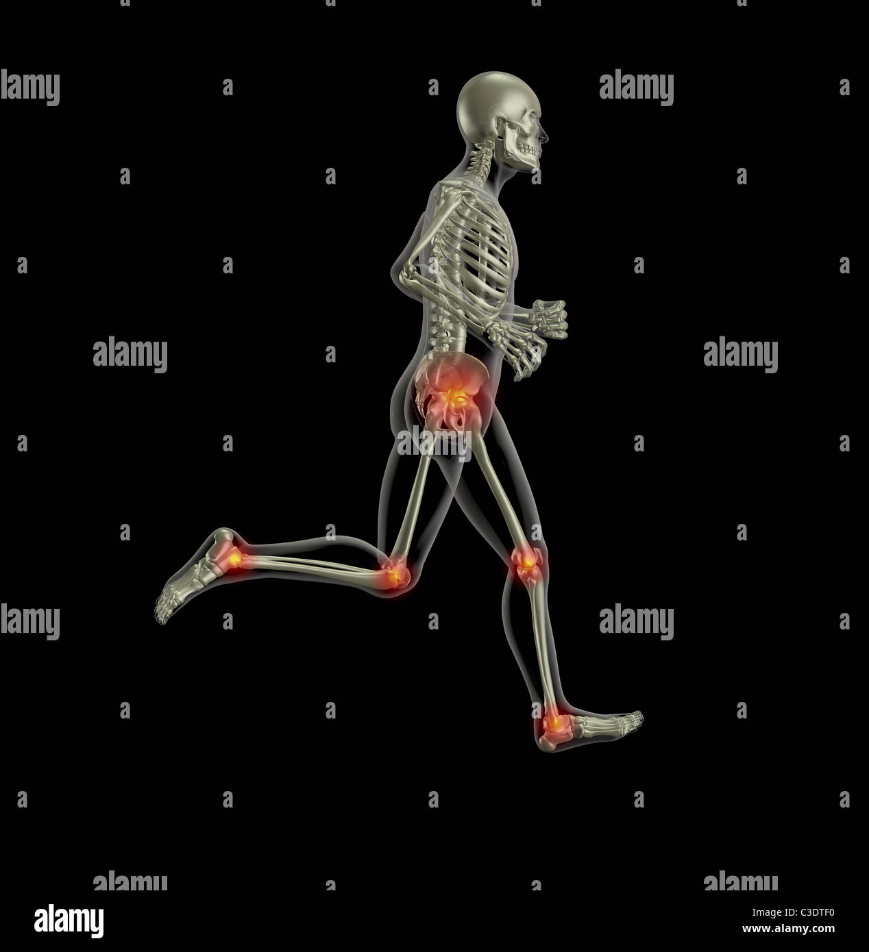 Highlighted skeleton hi-res stock photography and images - Alamy