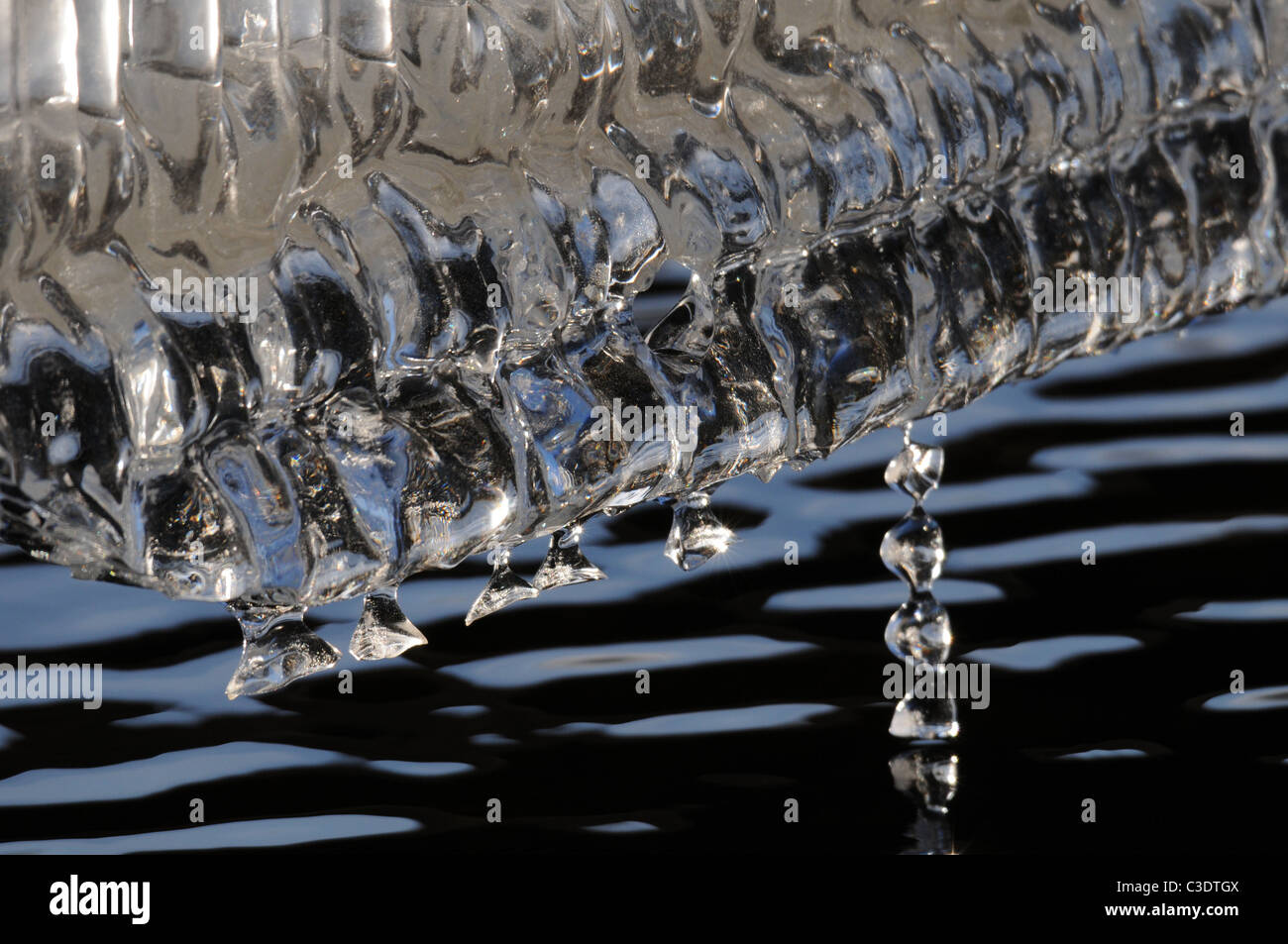 Ice formation under a bridge, ice, winter, cold, H2O in solid form ...