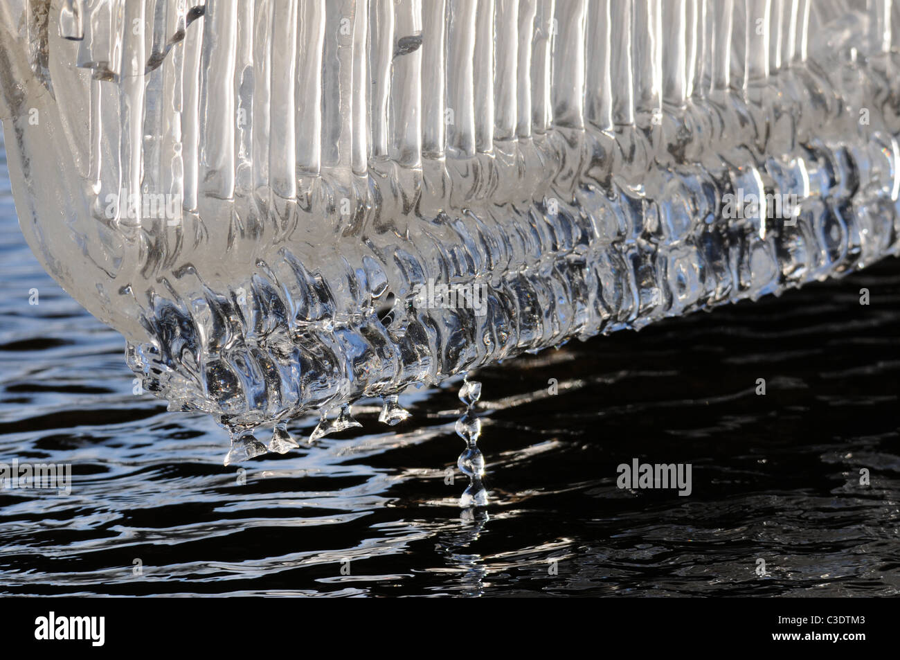 Ice formation under a bridge, ice, winter, cold, H2O in solid form ...