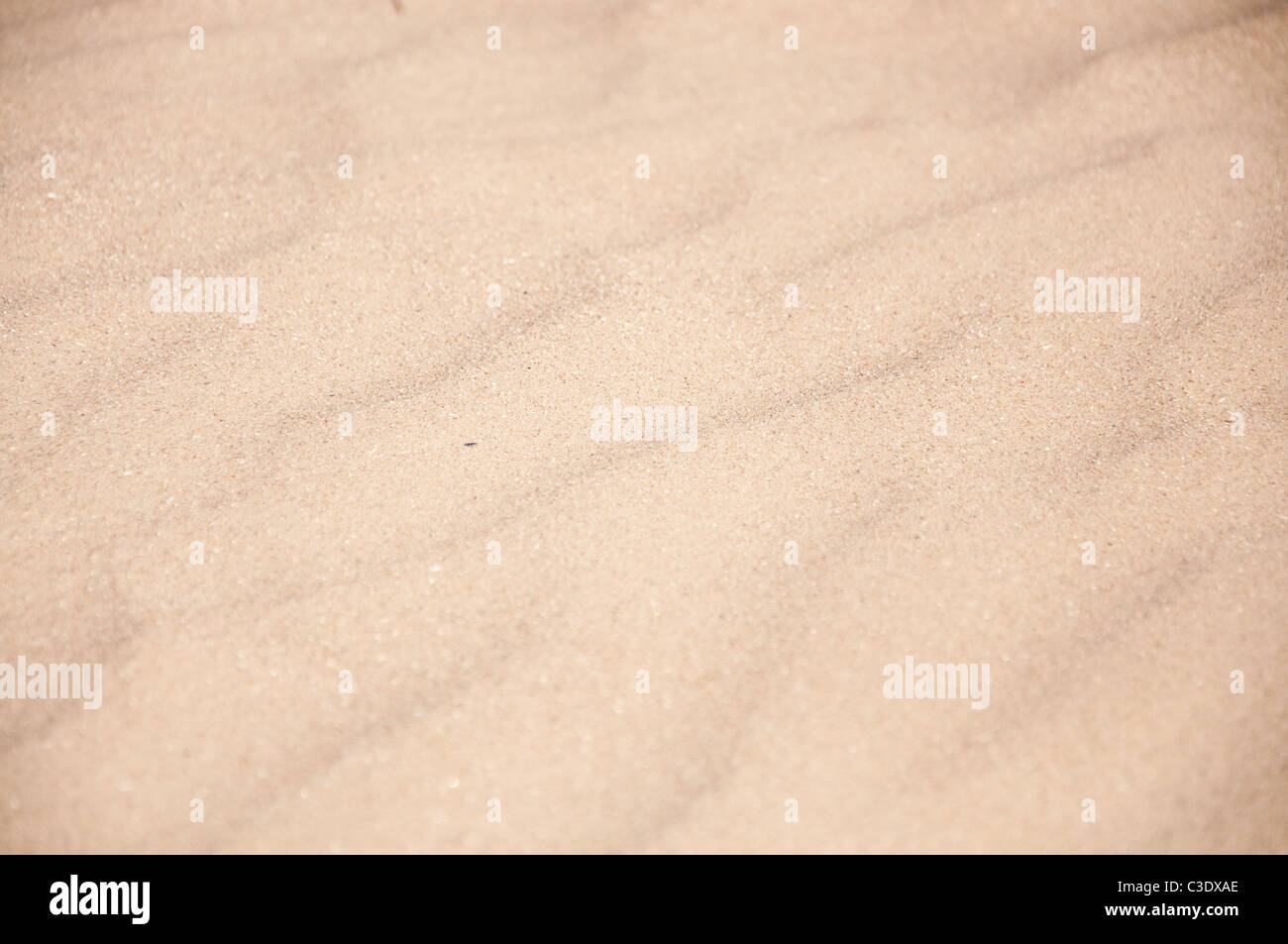 sand on the beach close up Stock Photo - Alamy