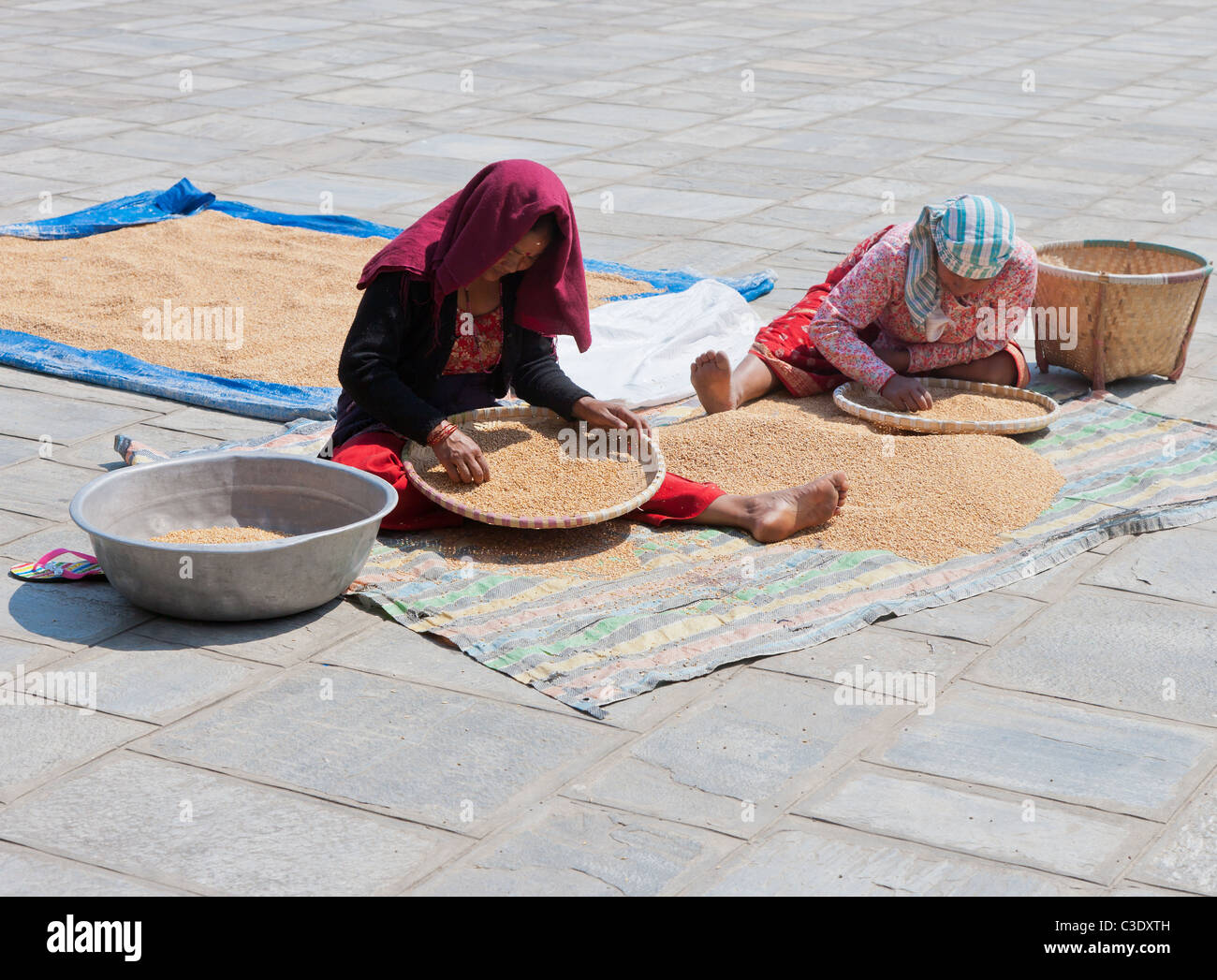 Separating the chaff hi-res stock photography and images - Alamy