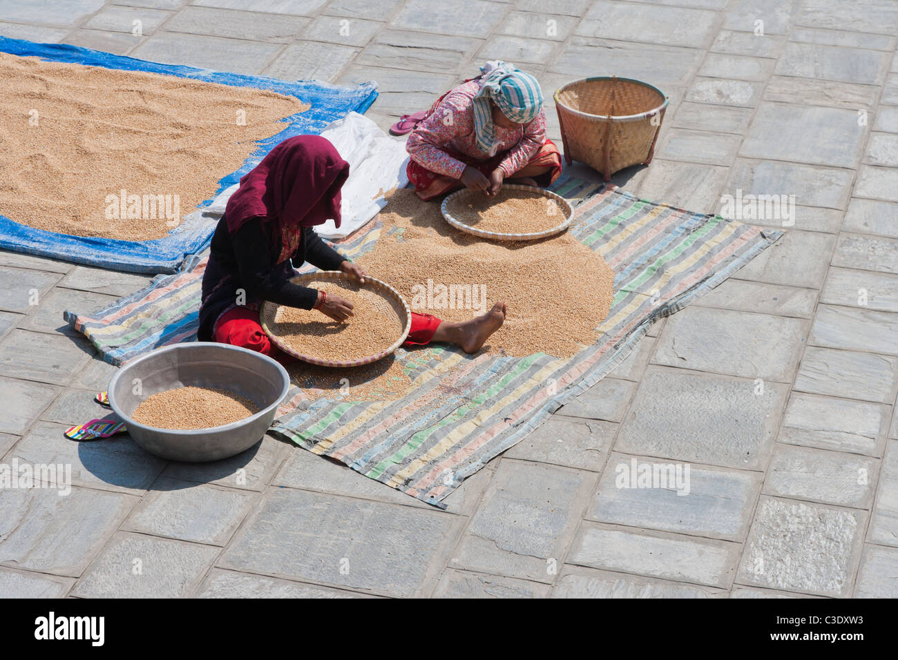 Removing the chaff hi-res stock photography and images - Alamy