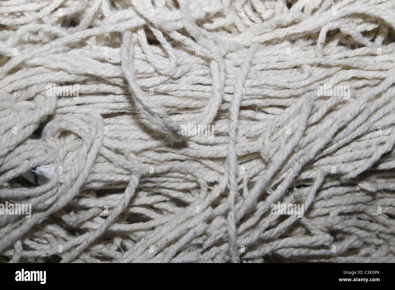 Mop Or Mops High Resolution Stock Photography and Images - Alamy