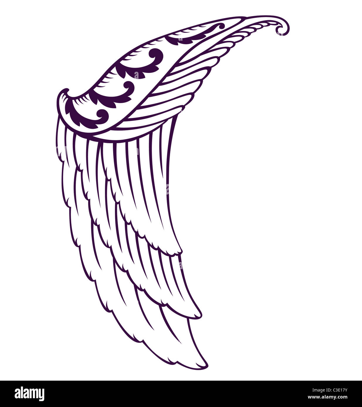 Half bird wing, illustrated with tattoo style and organic shape Stock ...