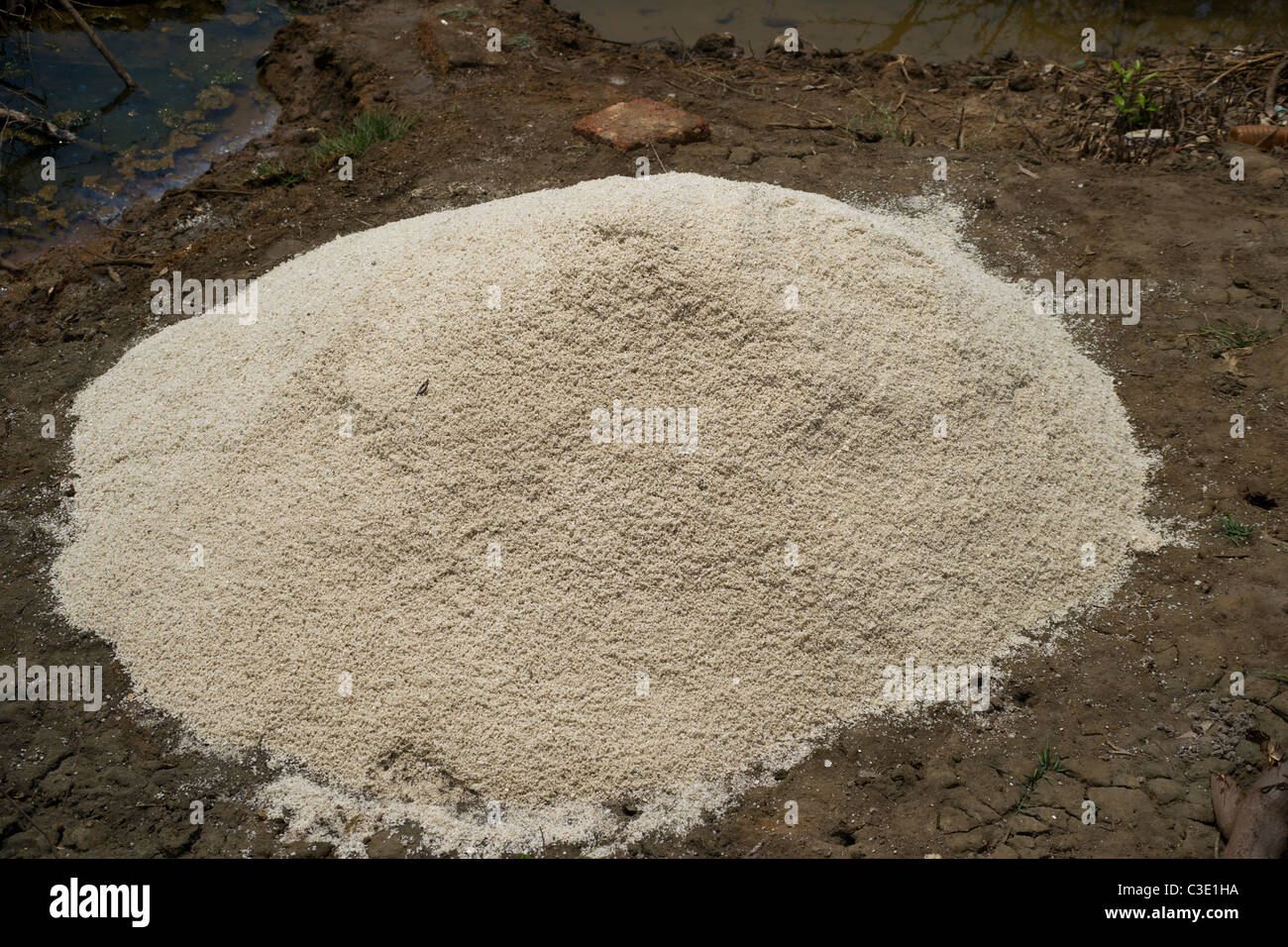 Salt pans goa india hi-res stock photography and images - Alamy