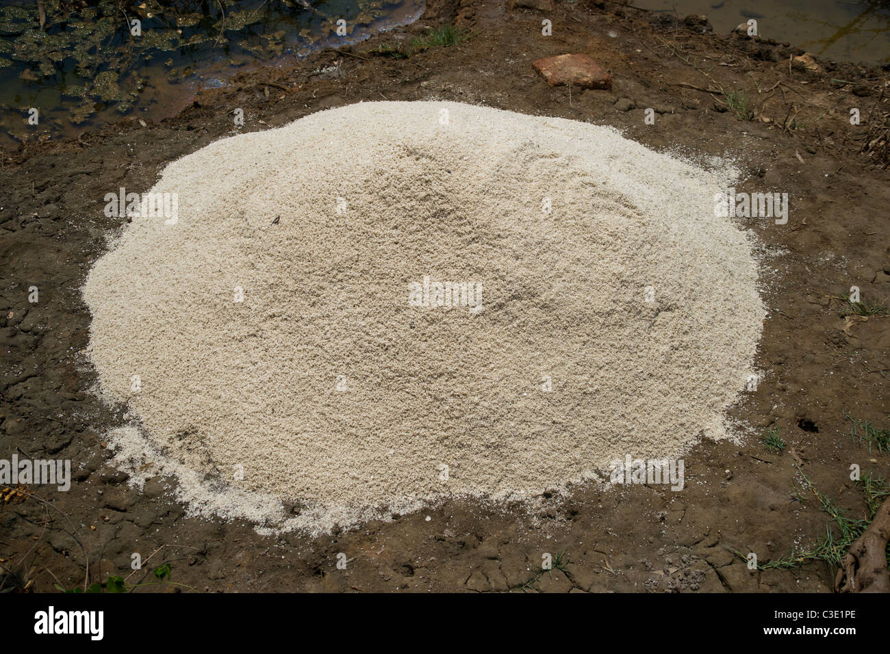 Salt pans at Arpora, Goa, India Stock Photo - Alamy