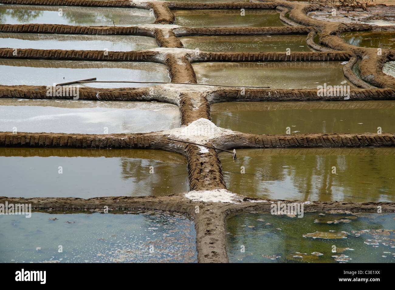 Salt pans goa india hi-res stock photography and images - Alamy