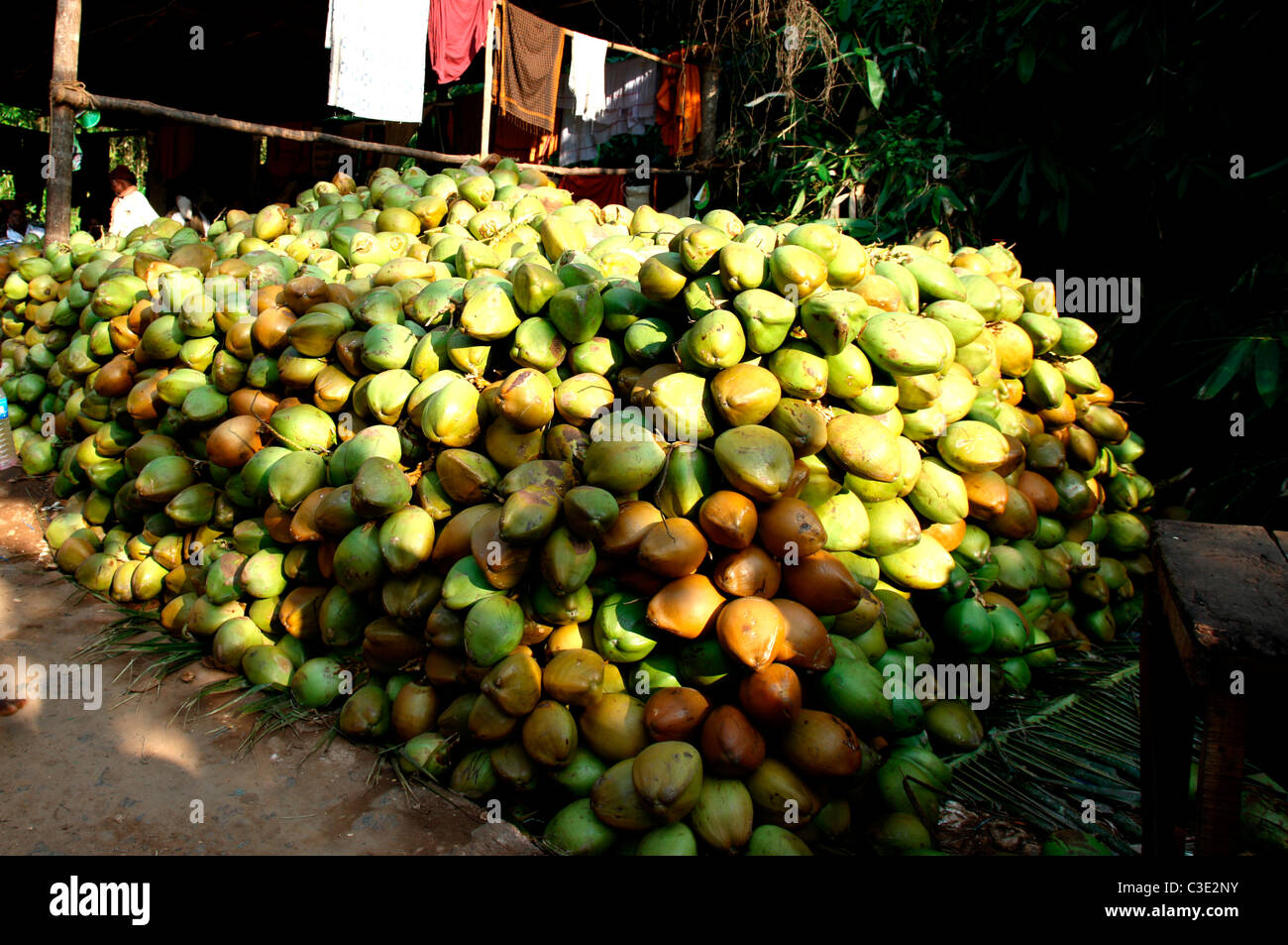 Coconuts on sale Stock Photo - Alamy