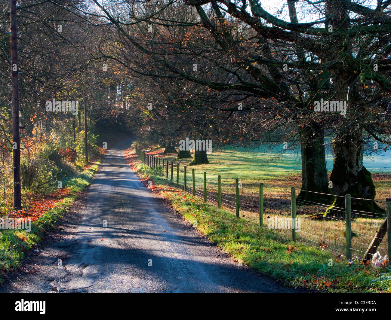 Traffic free country lane hi-res stock photography and images - Alamy