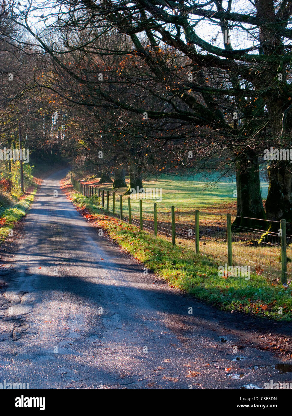 Traffic free country lane hi-res stock photography and images - Alamy