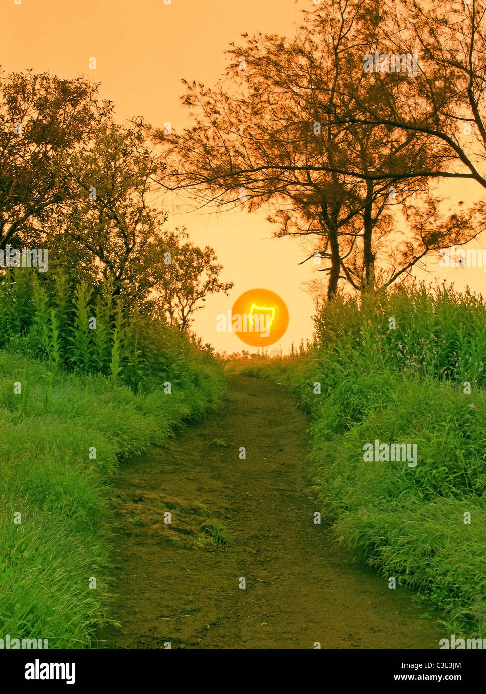 Creative pathway hi-res stock photography and images - Alamy