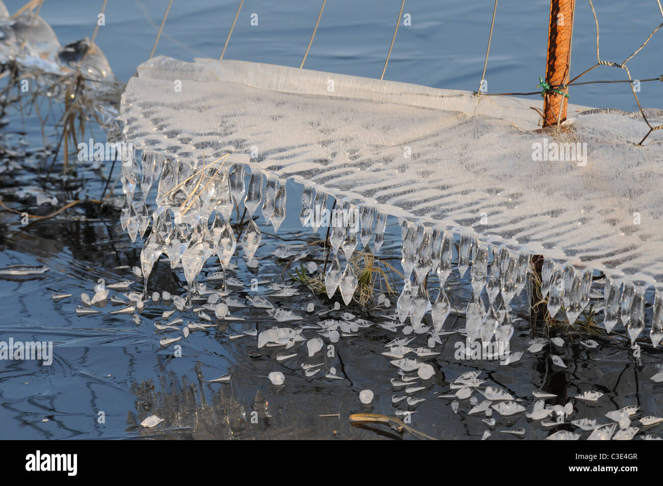 Icicles, old wire mesh fence, H2O in solid form Stock Photo - Alamy