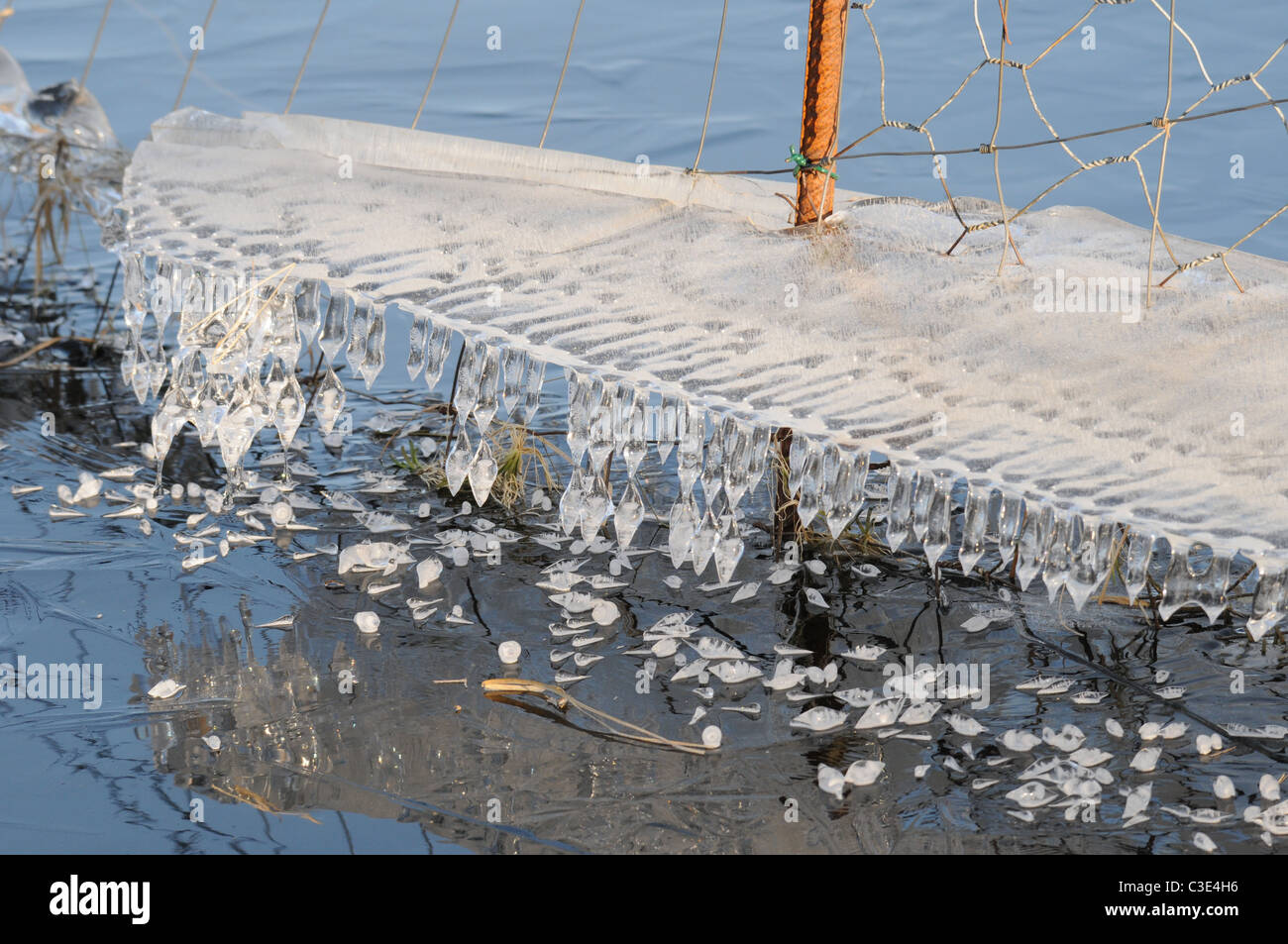 Icicles, old wire mesh fence, H2O in solid form Stock Photo - Alamy
