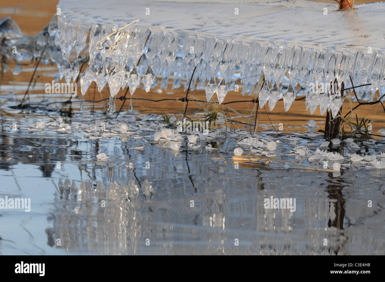 Icicles, old wire mesh fence, H2O in solid form Stock Photo - Alamy