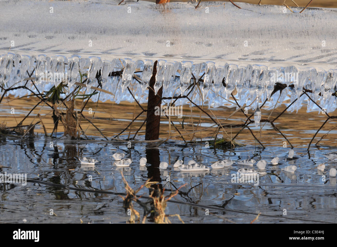 Icicles, old wire mesh fence, H2O in solid form Stock Photo - Alamy