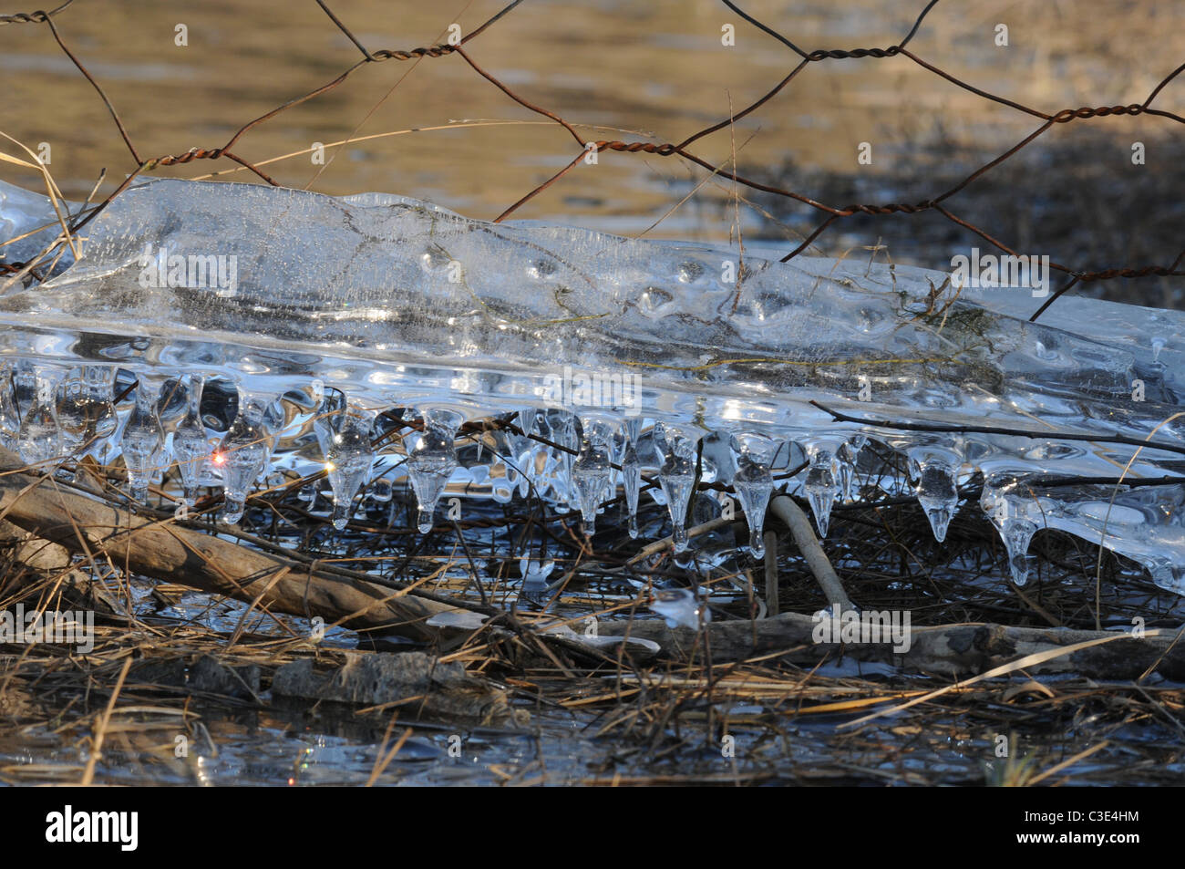 Icicles, old wire mesh fence, H2O in solid form Stock Photo - Alamy