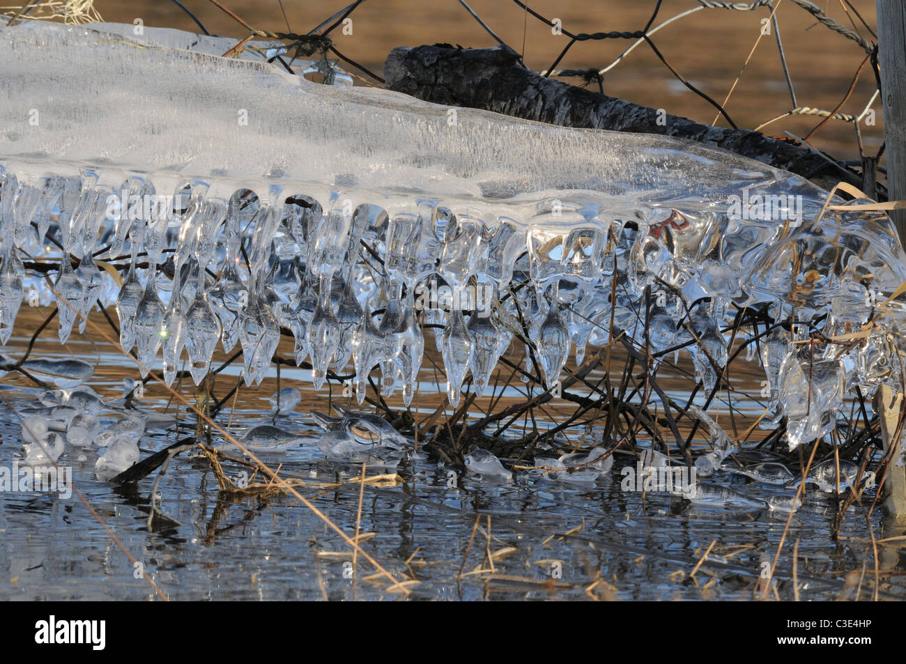 Icicles, old wire mesh fence, H2O in solid form Stock Photo - Alamy