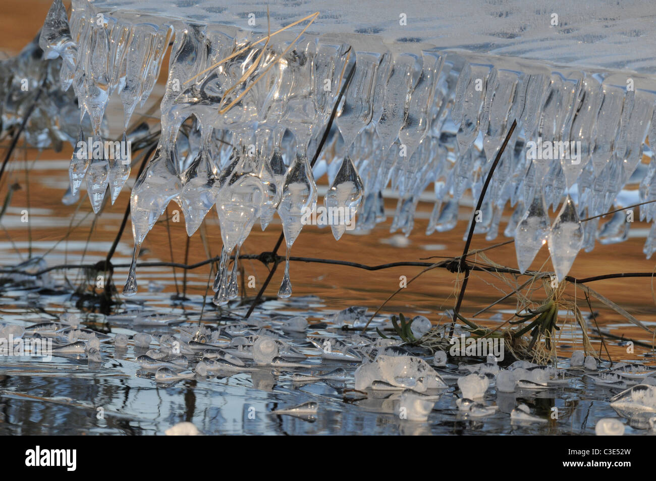 Wire mesh fence, ice formations, nature, winter, ice, cold Stock Photo ...