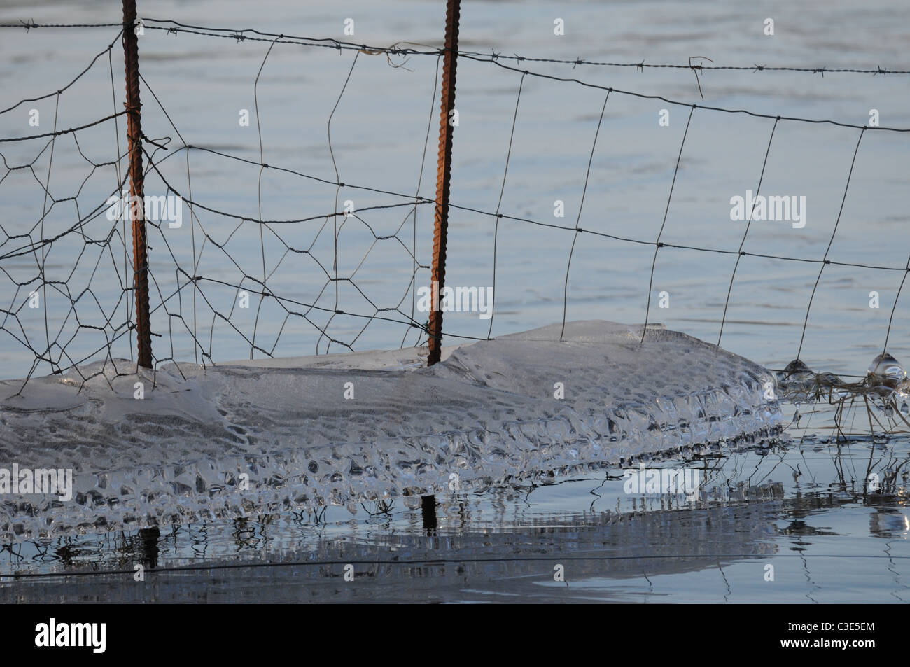 Wire mesh fence, ice formations, nature, winter, ice, cold Stock Photo ...