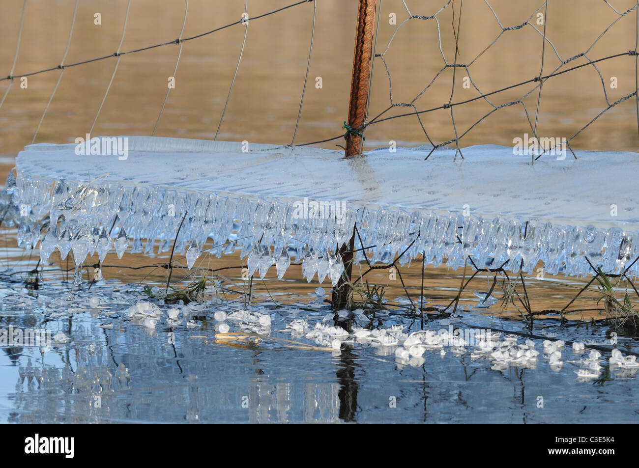 Wire mesh fence, ice formations, nature, winter, ice, cold Stock Photo ...
