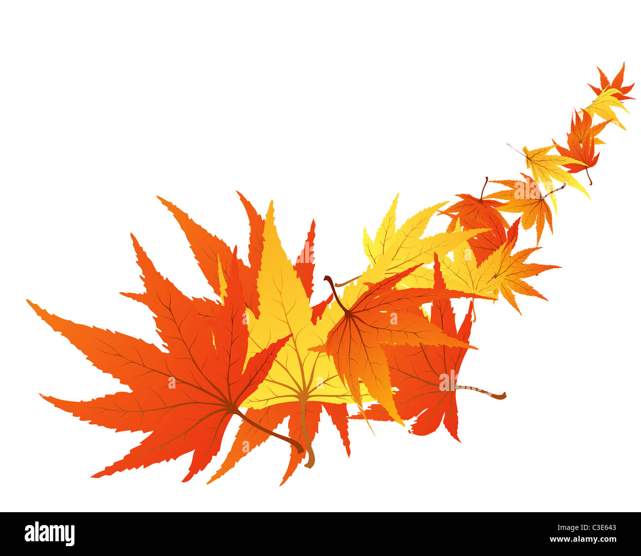 Twisted row of autumn maples leaves. Vector illustration Stock Photo ...