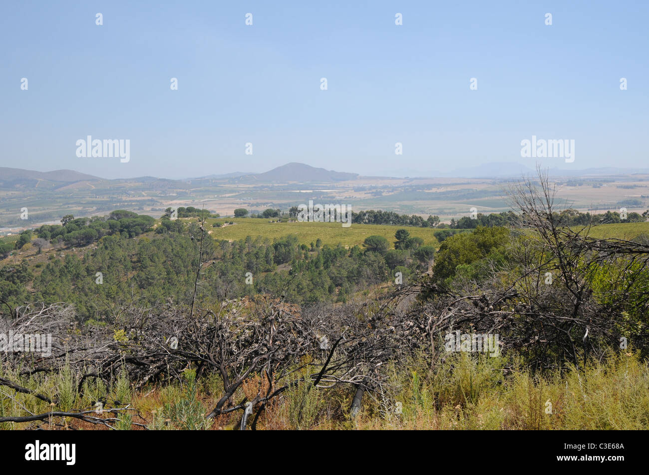 Areas around paarl hi-res stock photography and images - Alamy
