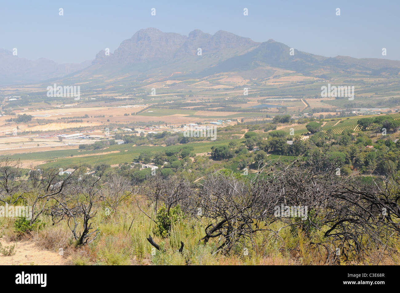 Areas around paarl hi-res stock photography and images - Alamy