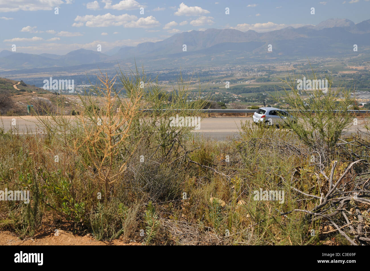 Areas around paarl hi-res stock photography and images - Alamy