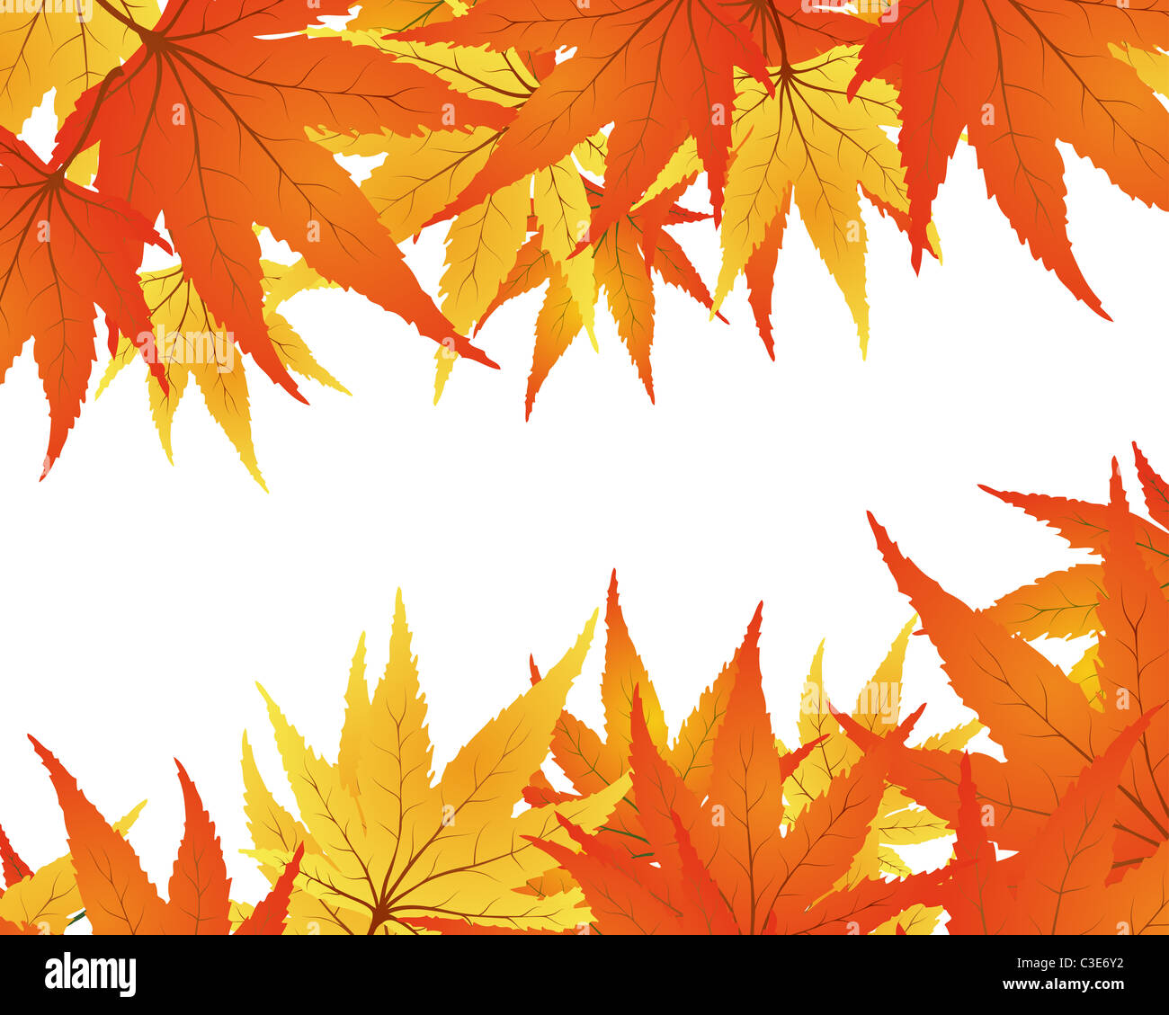 Frame of autumn maples leaves. Vector illustration Stock Photo - Alamy