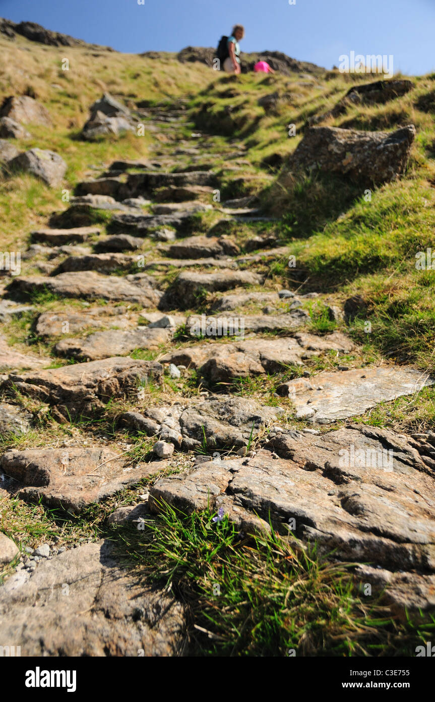 Typical English Lake District mountain footpath Stock Photo - Alamy