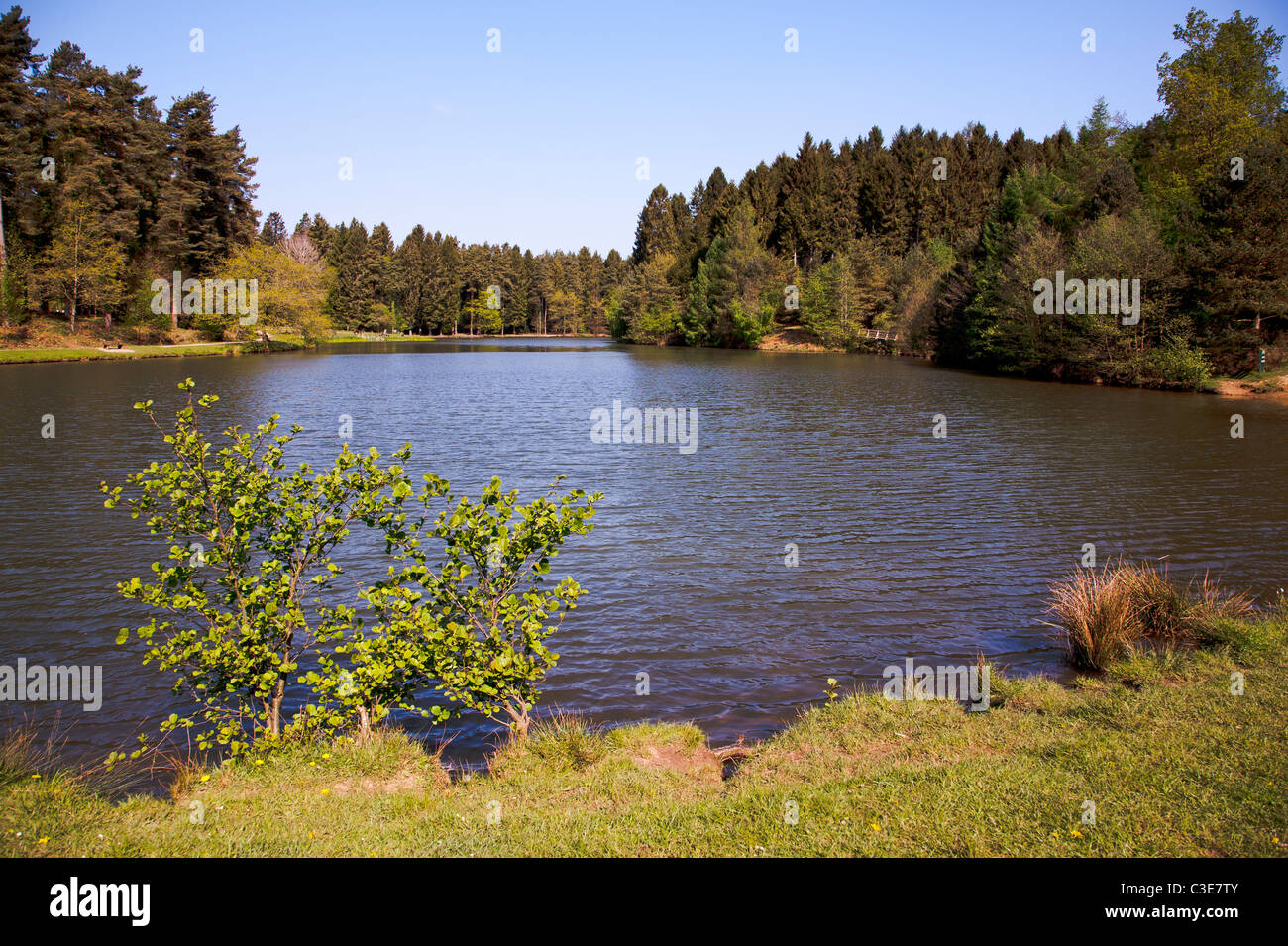 Mallards Pike Lake Stock Photo - Alamy