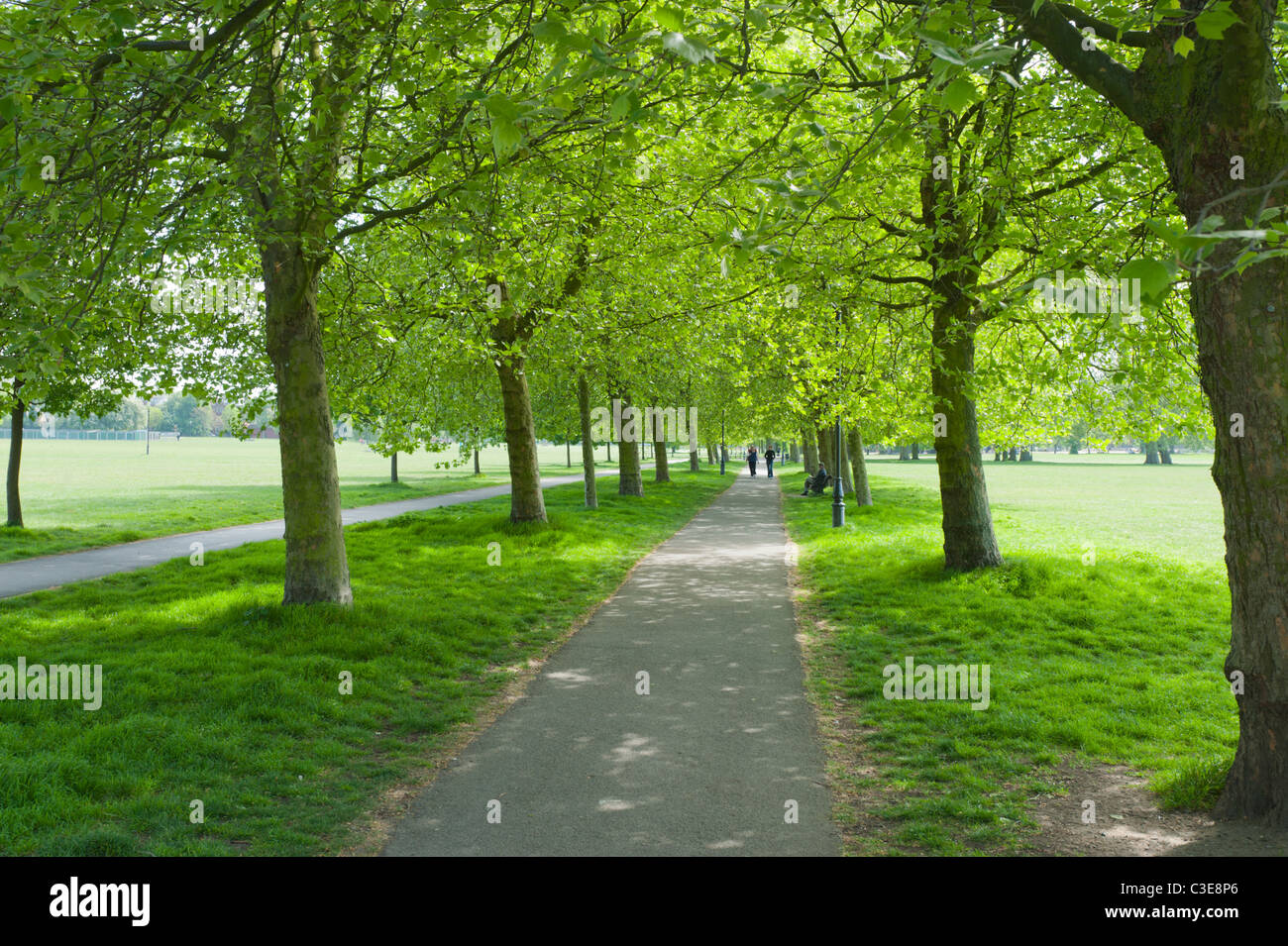 Lambeth parks hi-res stock photography and images - Alamy