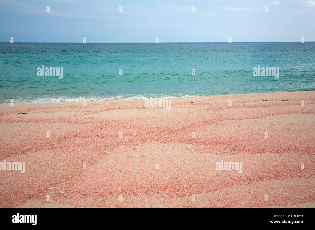 Pink beaches hi-res stock photography and images - Alamy